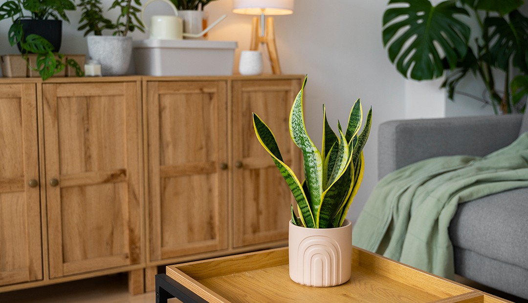 Comfortable Home Humidity and How Ventilation Units With Enthalpy Heat ...